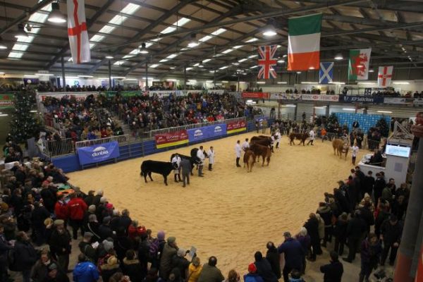 The Royal Welsh Winter Fair - Monday 24th and Tuesday 25th November ...
